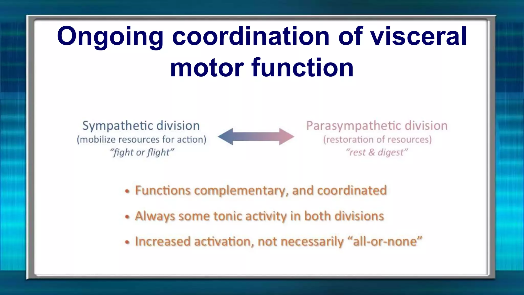 Visceral motor system | PPT