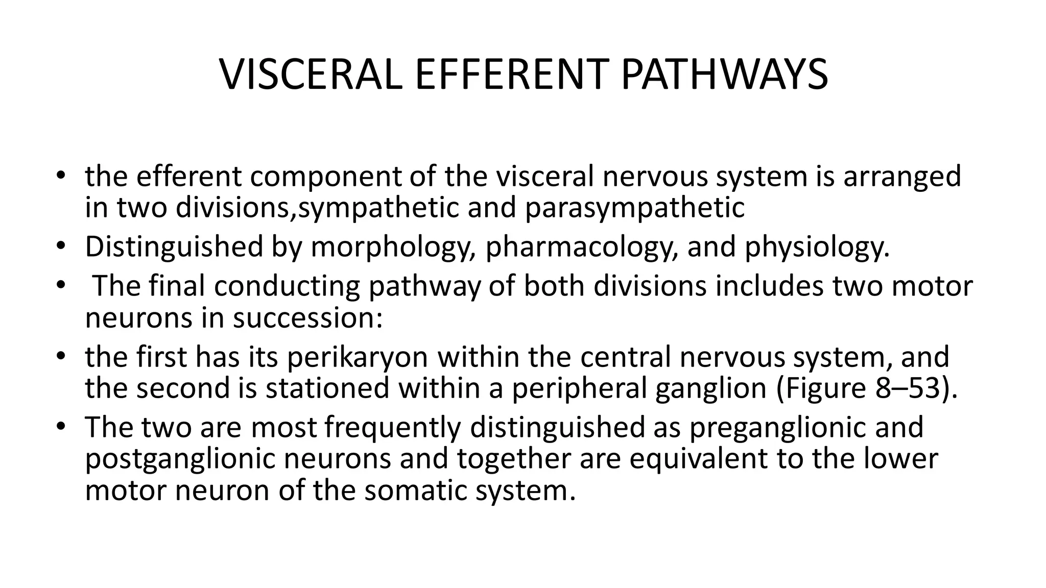 VISCERAL NERVOUS SYSTEM ANATOMY VETS.pdf