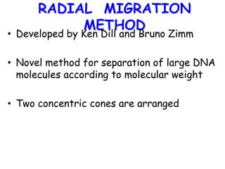 Viscoelasticity | PPTX