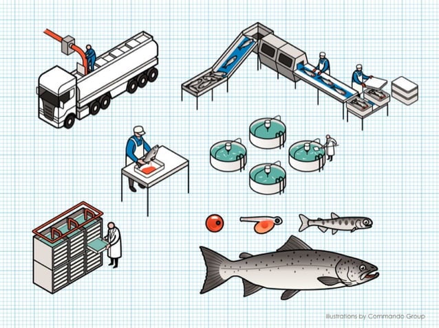 Visualizing complex data | PPT
