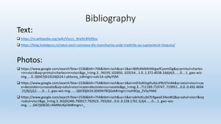 Viscri | PPTX | Style & Fashion