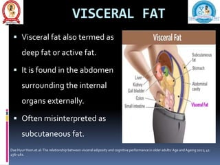 Viseral fat & Cognition.pptx