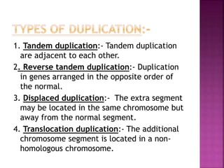 chromosomes | PPT