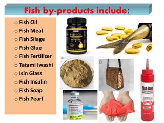 Fish by product by VISHAL BHOJYAWAL | PPTX