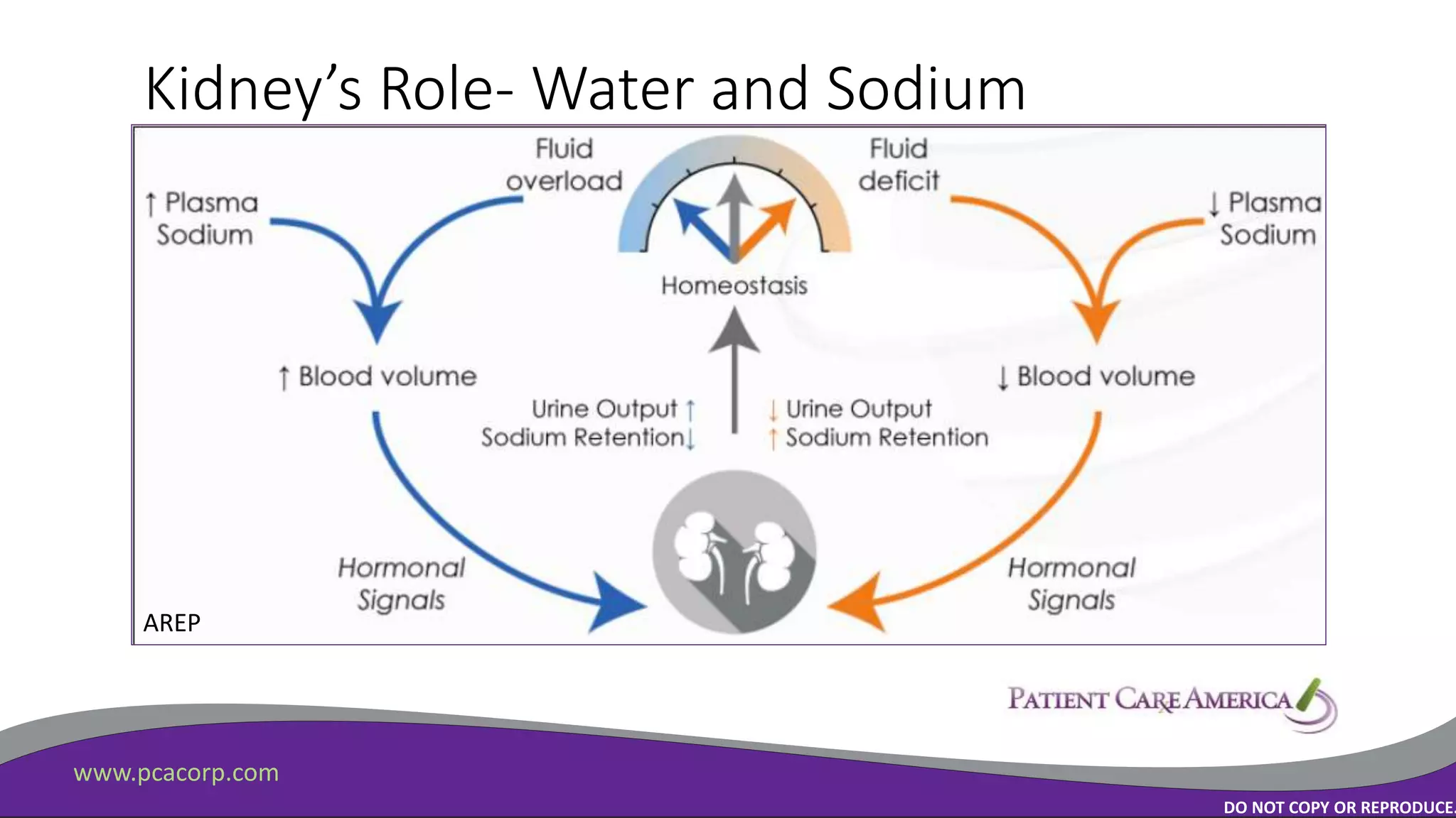 Fluid management in dialysis | PPT