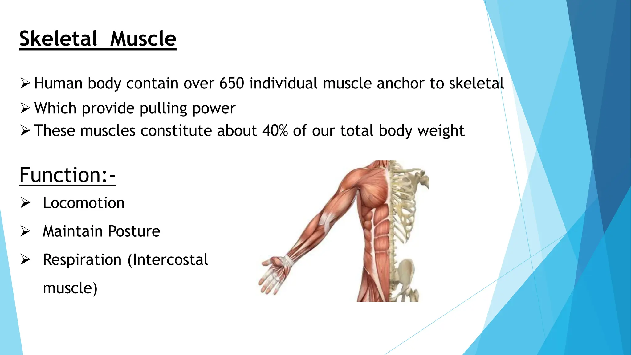 Effect of exercise on musculoskeletal system ppt | PPTX