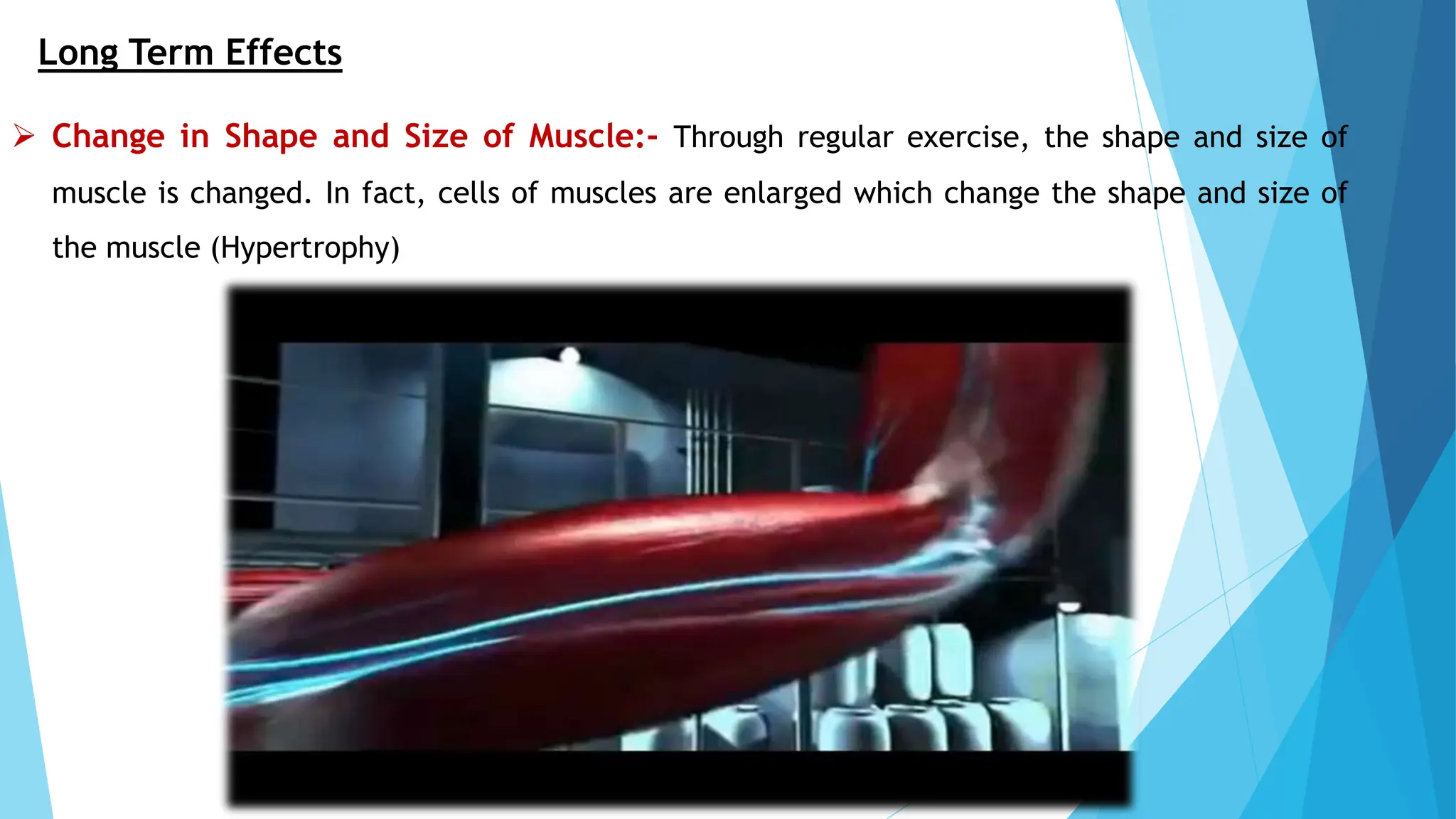 Effect of exercise on musculoskeletal system ppt | PPTX