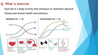Effect of exercise on musculoskeletal system ppt | PPTX
