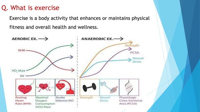 Effect of exercise on musculoskeletal system ppt | PPTX | Fitness and ...