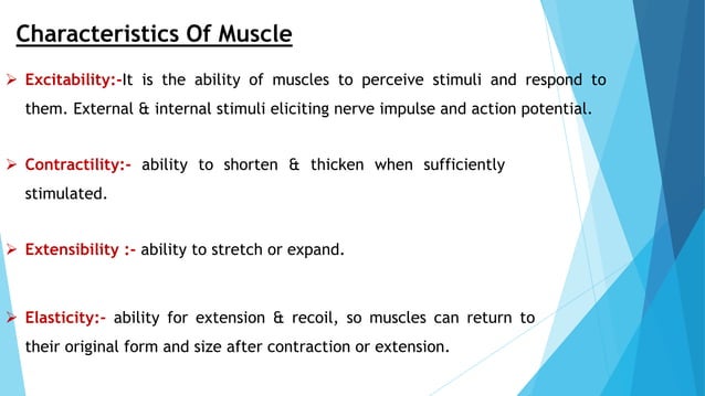 Effect of exercise on musculoskeletal system ppt | PPTX | Fitness and ...