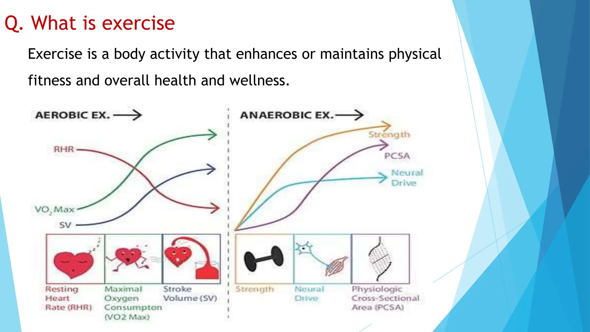 Effect of exercise on musculoskeletal system by Vishal Panchal | PPTX
