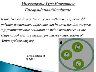 Immobilization of enzymes | PPTX