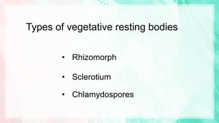 General characteristics of fungi resting spores | PPT