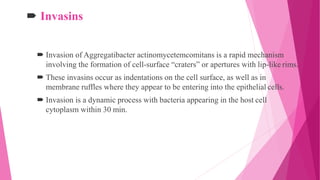 Microbiology of periodontal diseases | PPTX