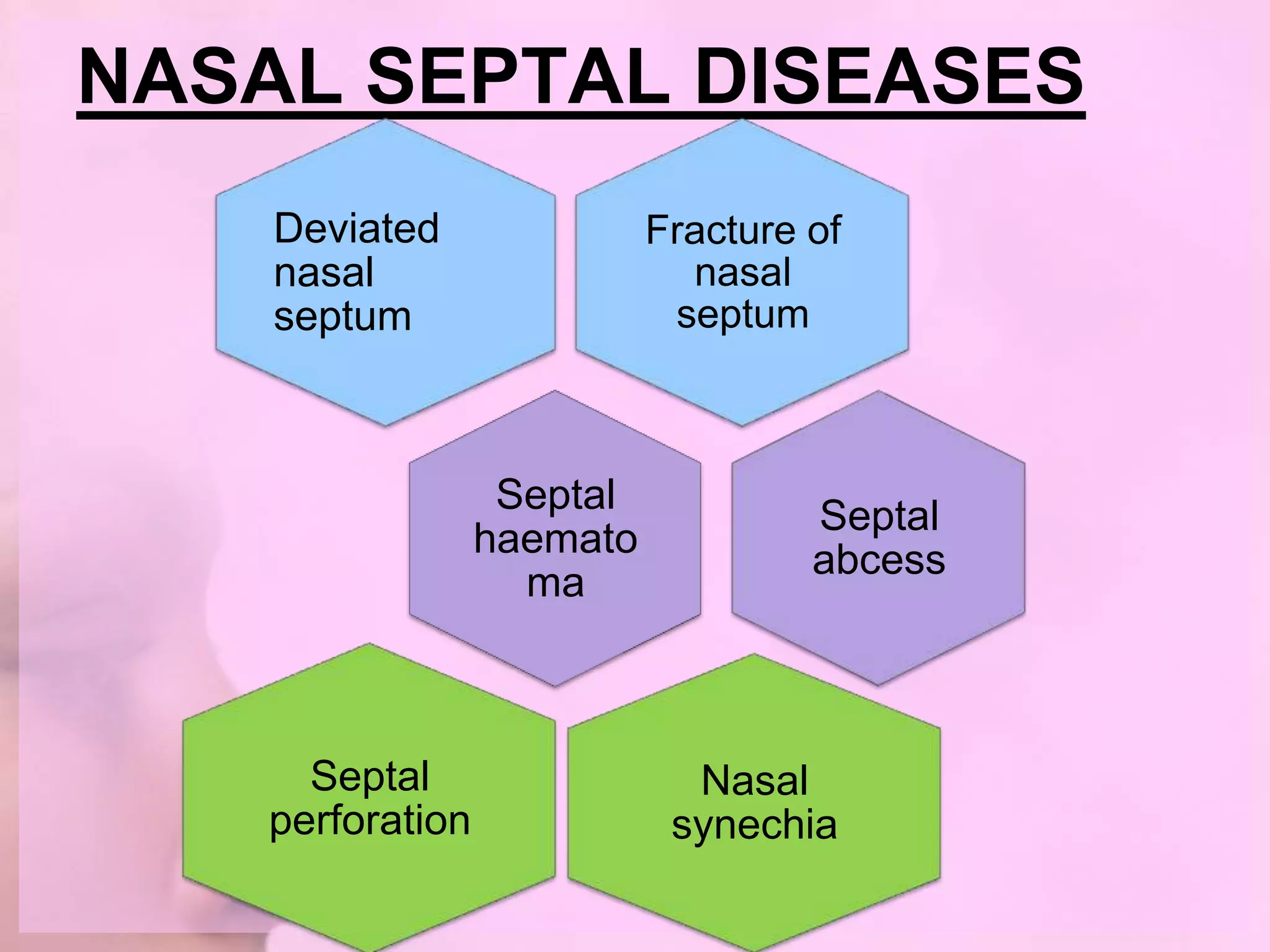 NASAL SEPTAL DISEASES | PPTX