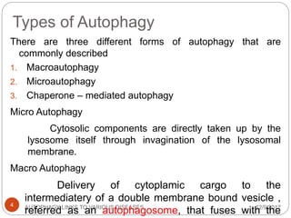 AUTOPHAGY LINKS TO VARIOUS DISEASES | PPTX