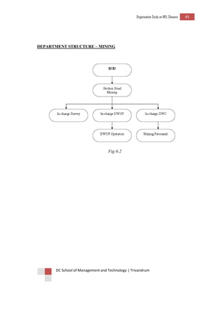 IREL ORGANISATION STUDY Report | PDF