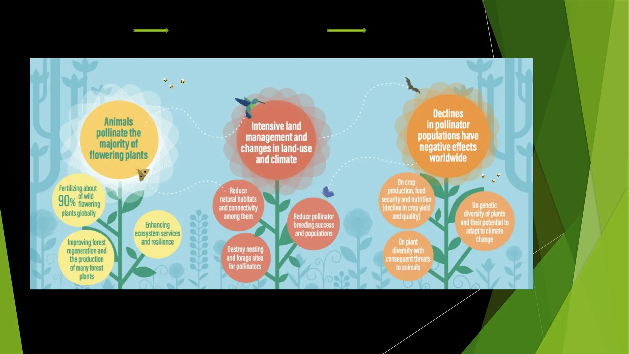Role of pollinators in an ecosystem and threats | PPTX