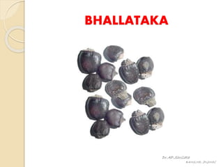 Vishopavisha varga of Ayurveda - poisonous and sub poisonous drugs | PPT