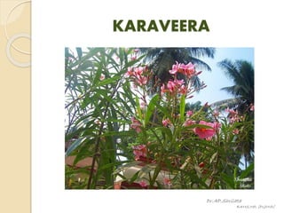 Vishopavisha varga of Ayurveda - poisonous and sub poisonous drugs | PPT