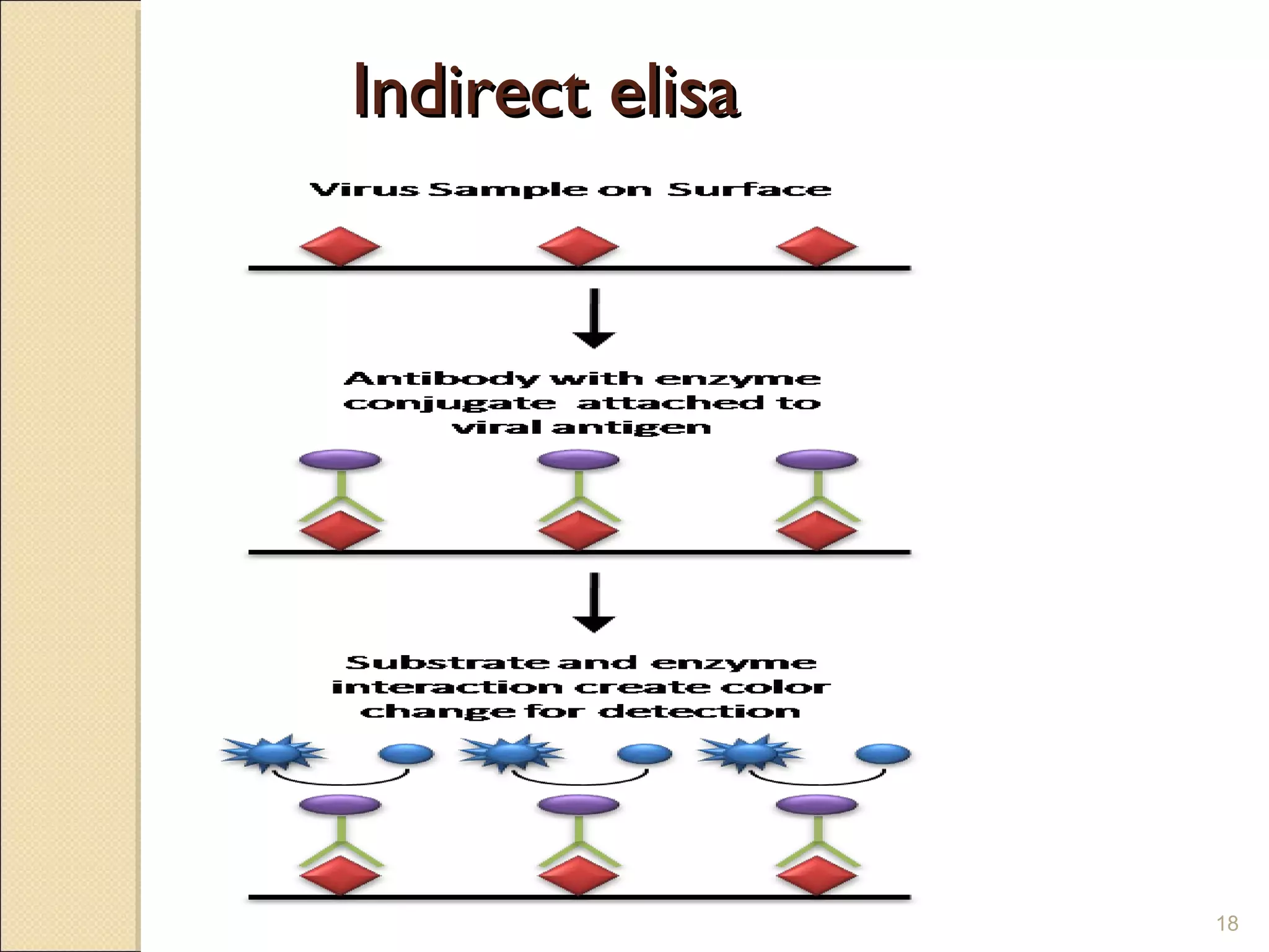 ELISA & RIA | PPT