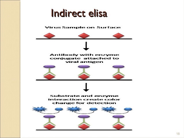 Schematic Presentation Of Basic Types Of Elisa Enzyme