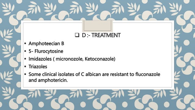 Candida Albicans | PPT