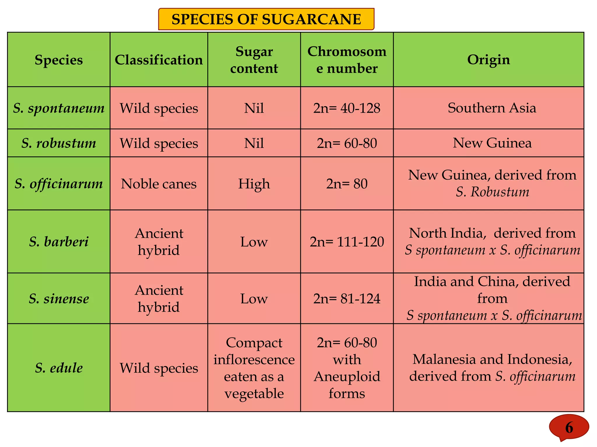 Sugarcane tissue culture ppt | PPTX