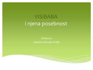 Visibaba | PPT