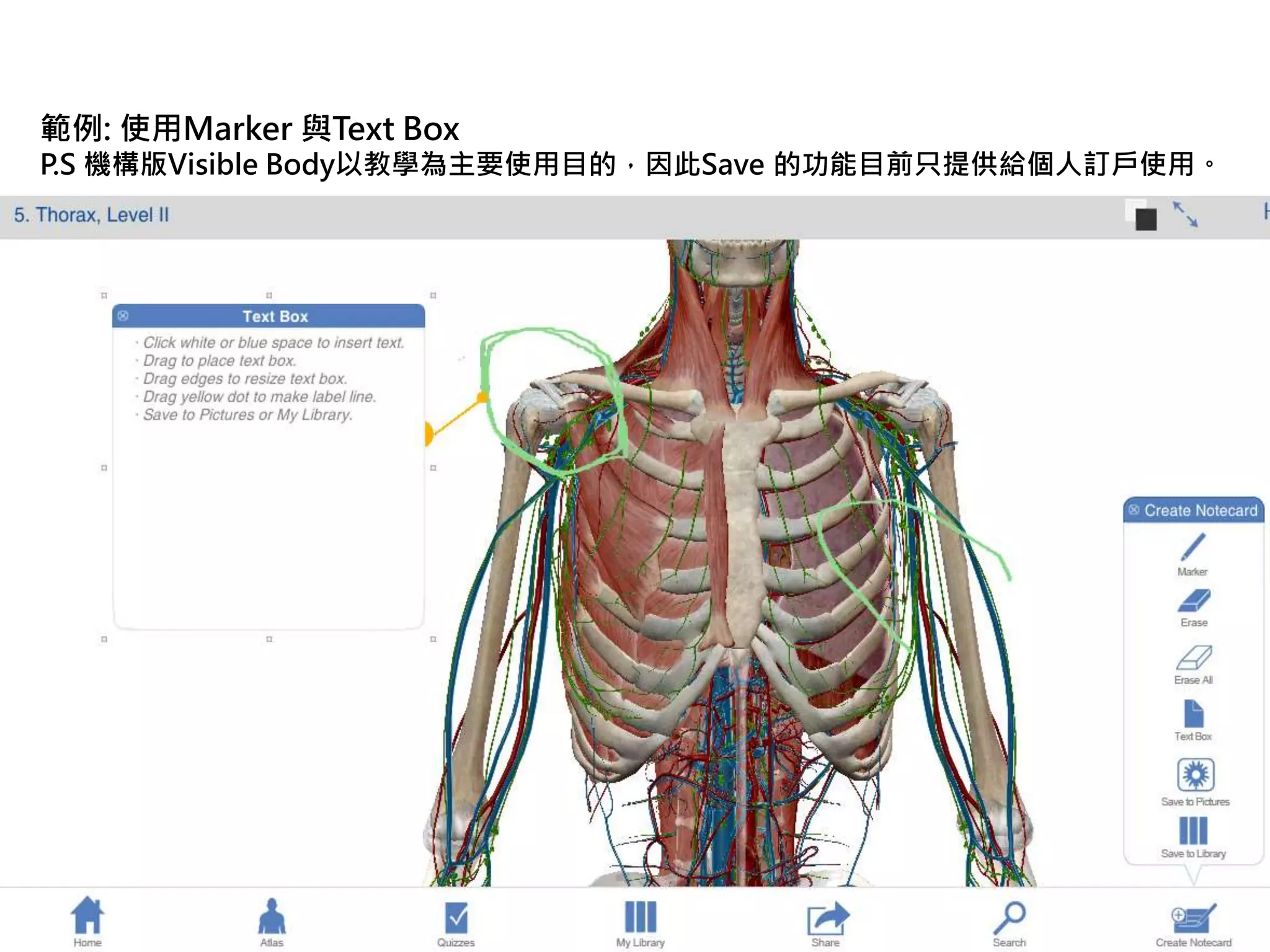 Visible Body - Functional aspect | PPT