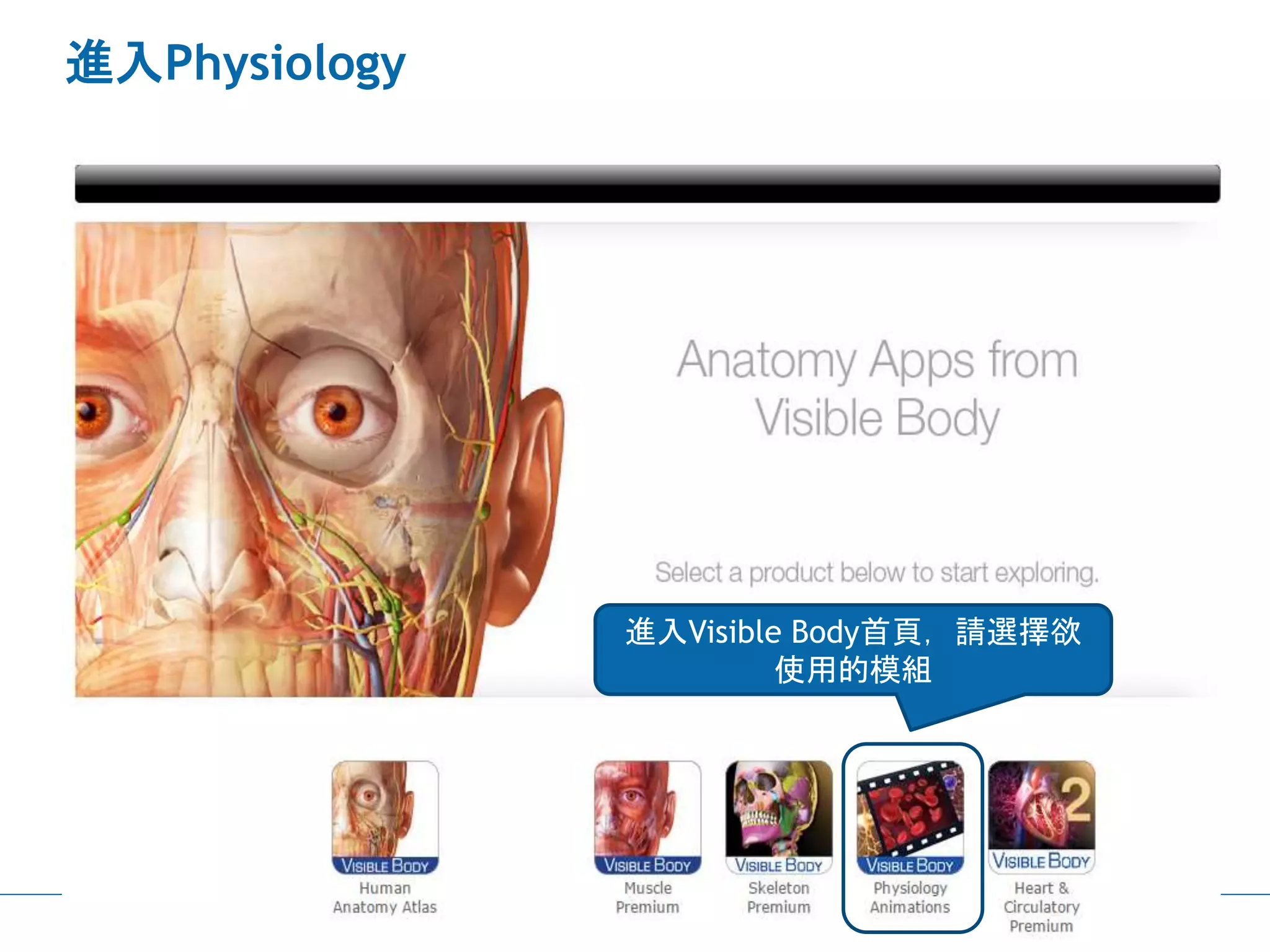 Visible Body - Functional aspect | PPT