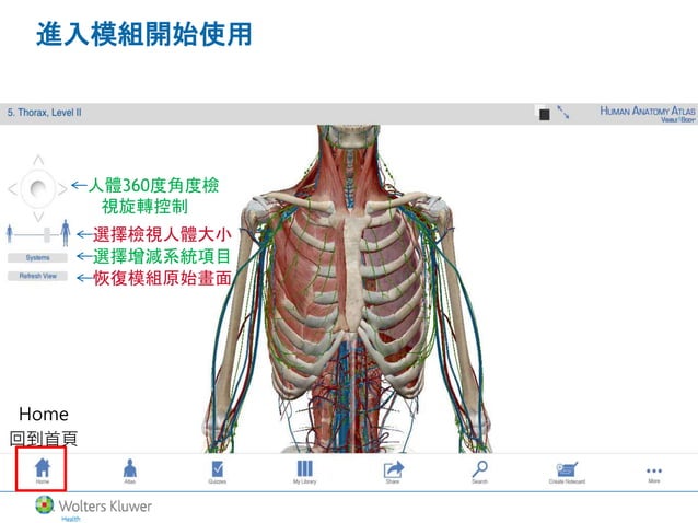 Visible Body - Functional aspect | PPT
