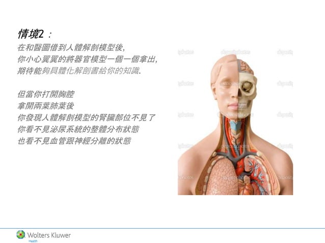 Visible Body - Functional aspect | PPT