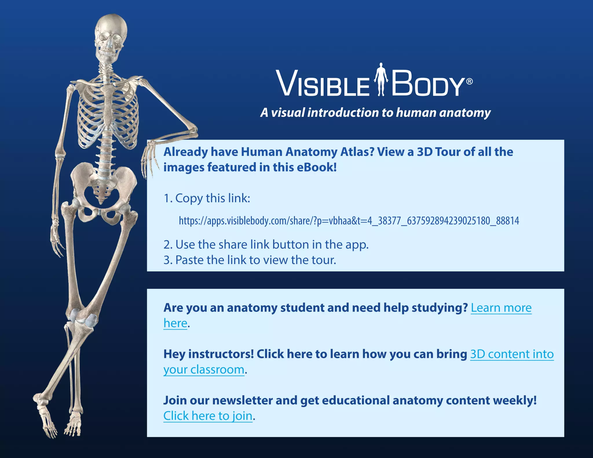 VisibleBody_Digestive_System.pdf