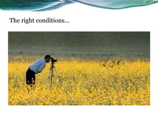 Murrays Bay Intermediate PLD - Visible Learning | PPTX