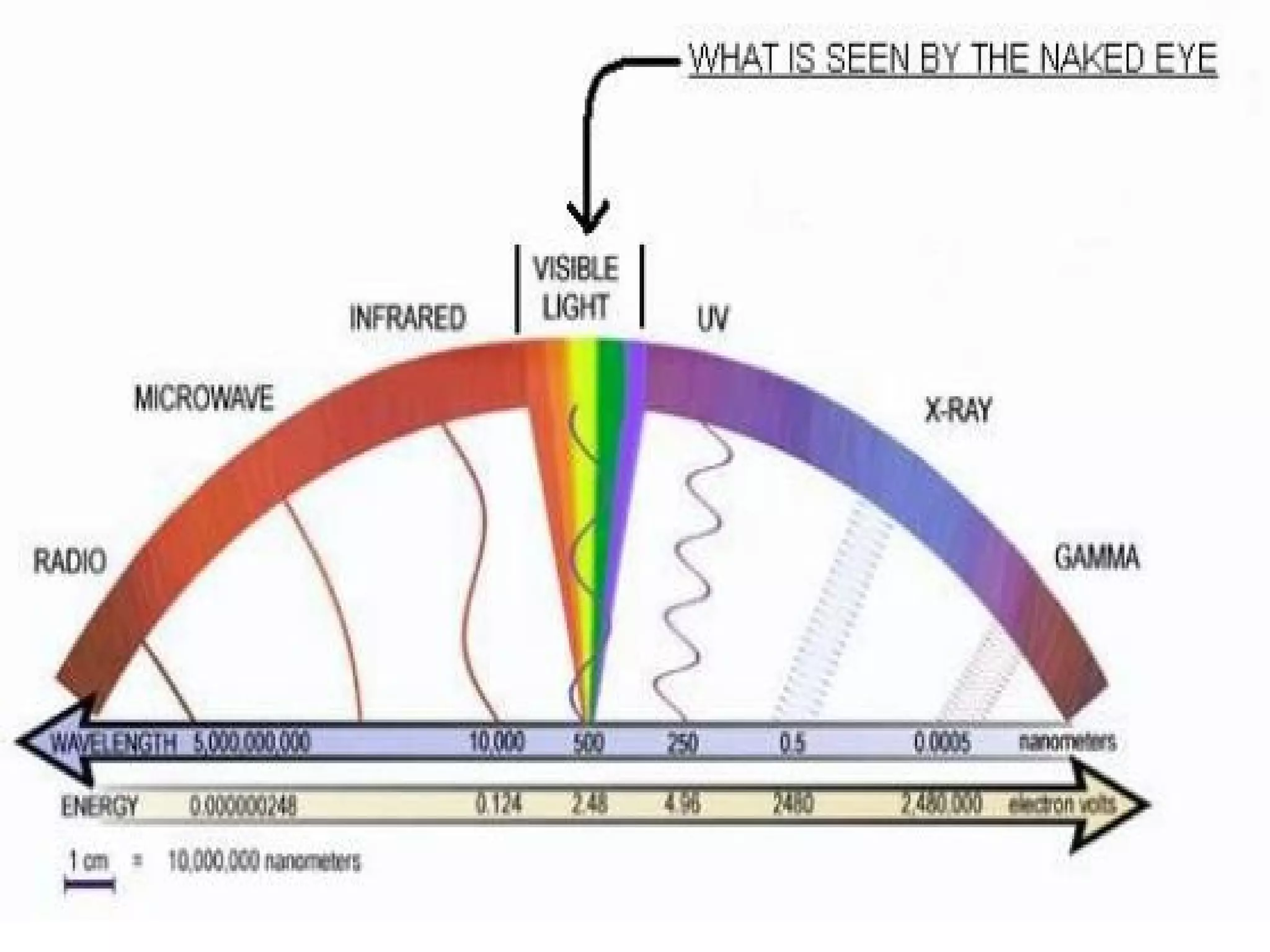 Visible Light Waves | PPT