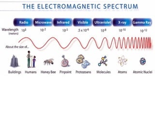 Visible Light Waves | PPT