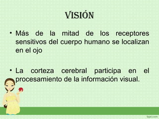 Sentido - Visión | PPT