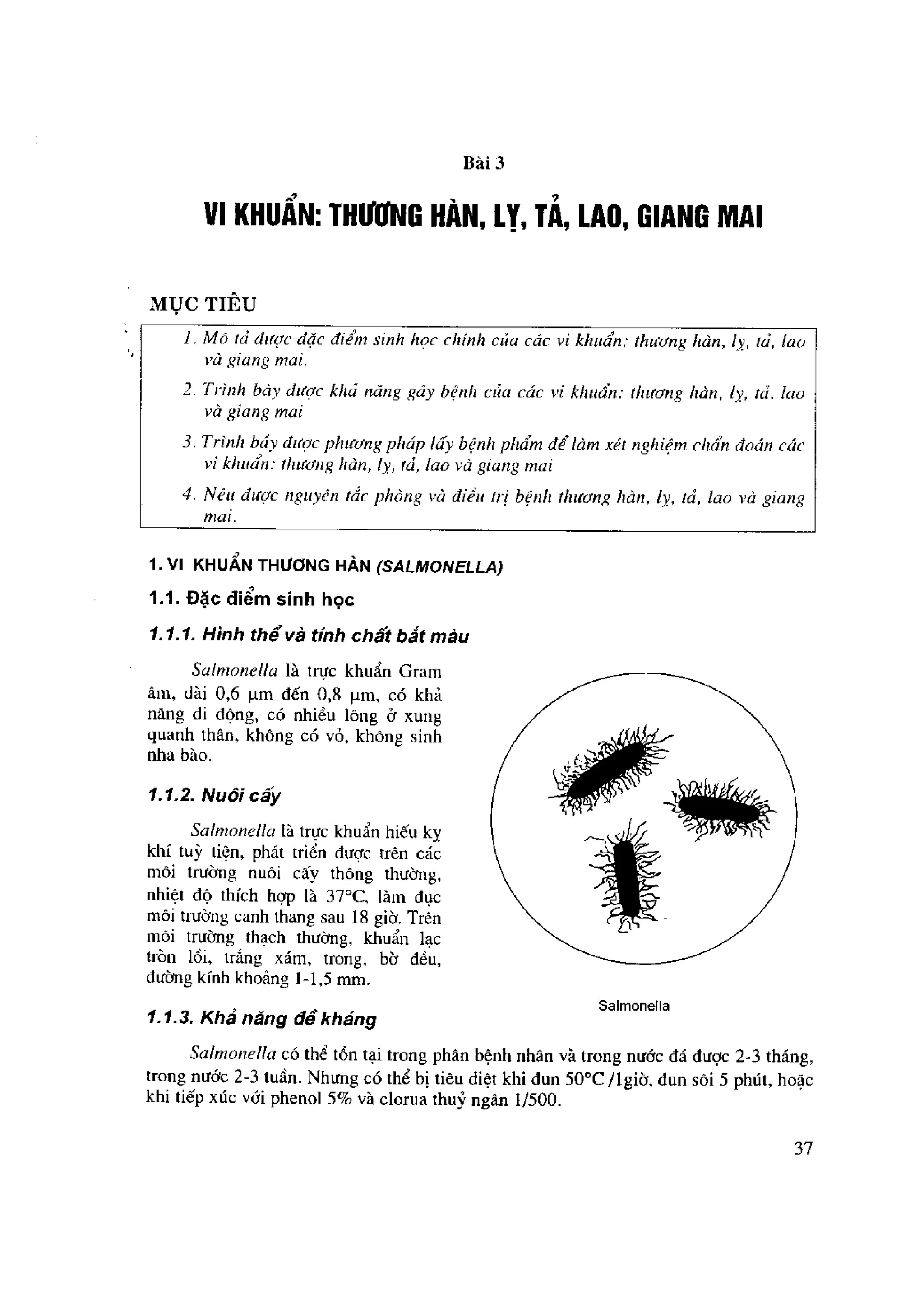Vi sinh - ki sinh trung y hoc | PDF