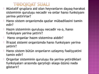 Vi si̇ni̇f heyvanlarin orqanlari və orqanlar si̇stemi̇ | PPT