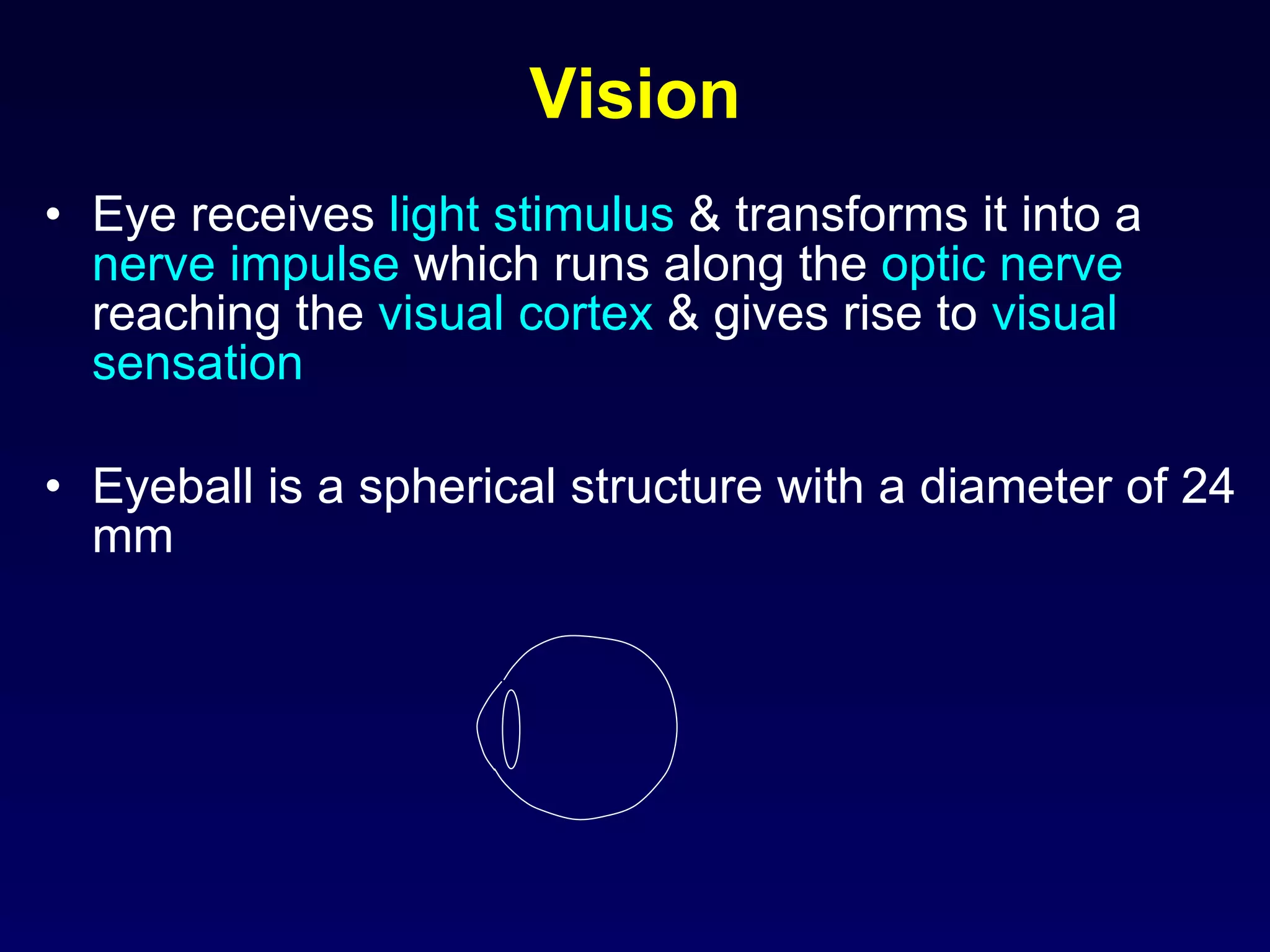 Vision | PPT