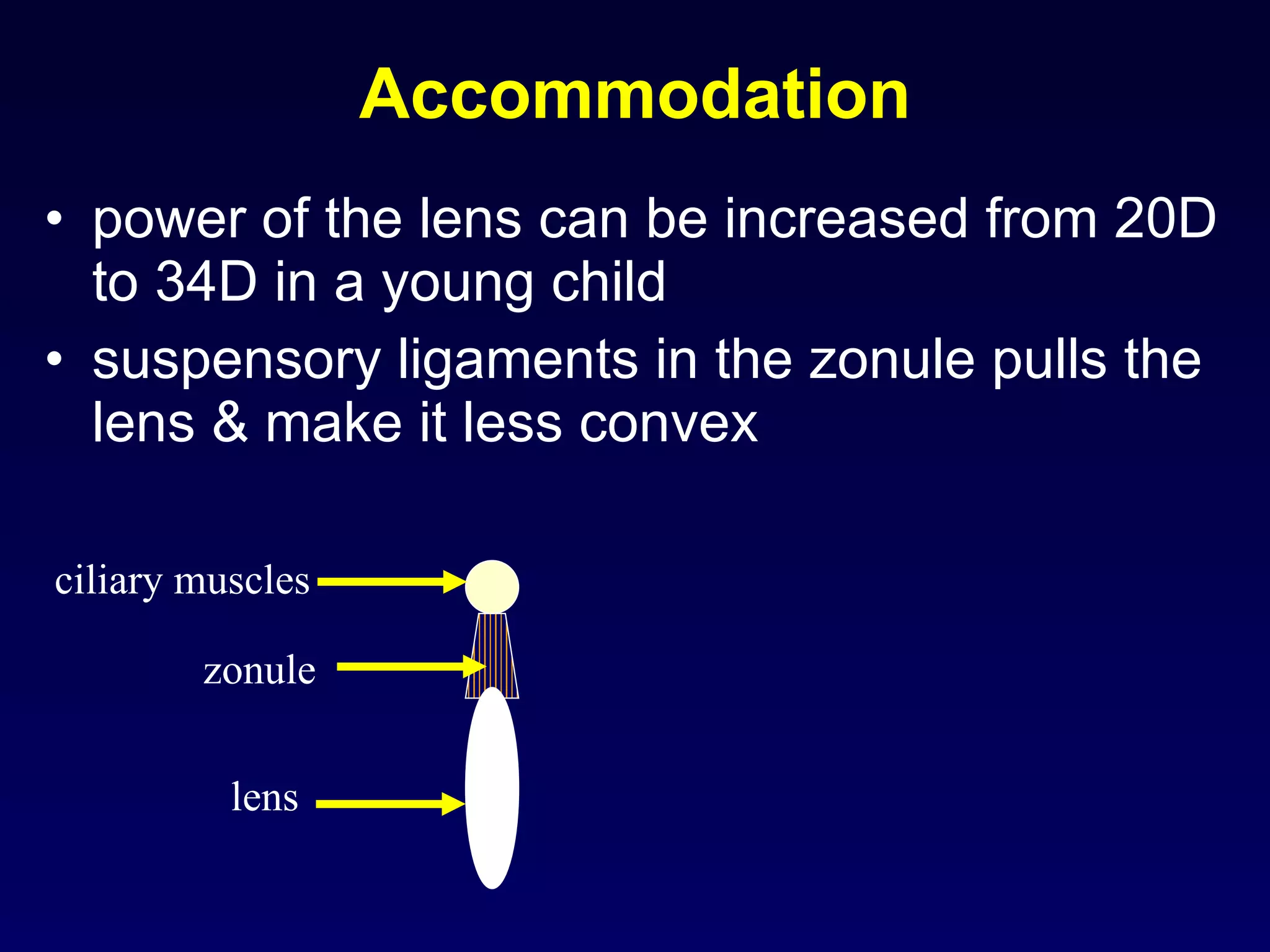 Vision | PPT