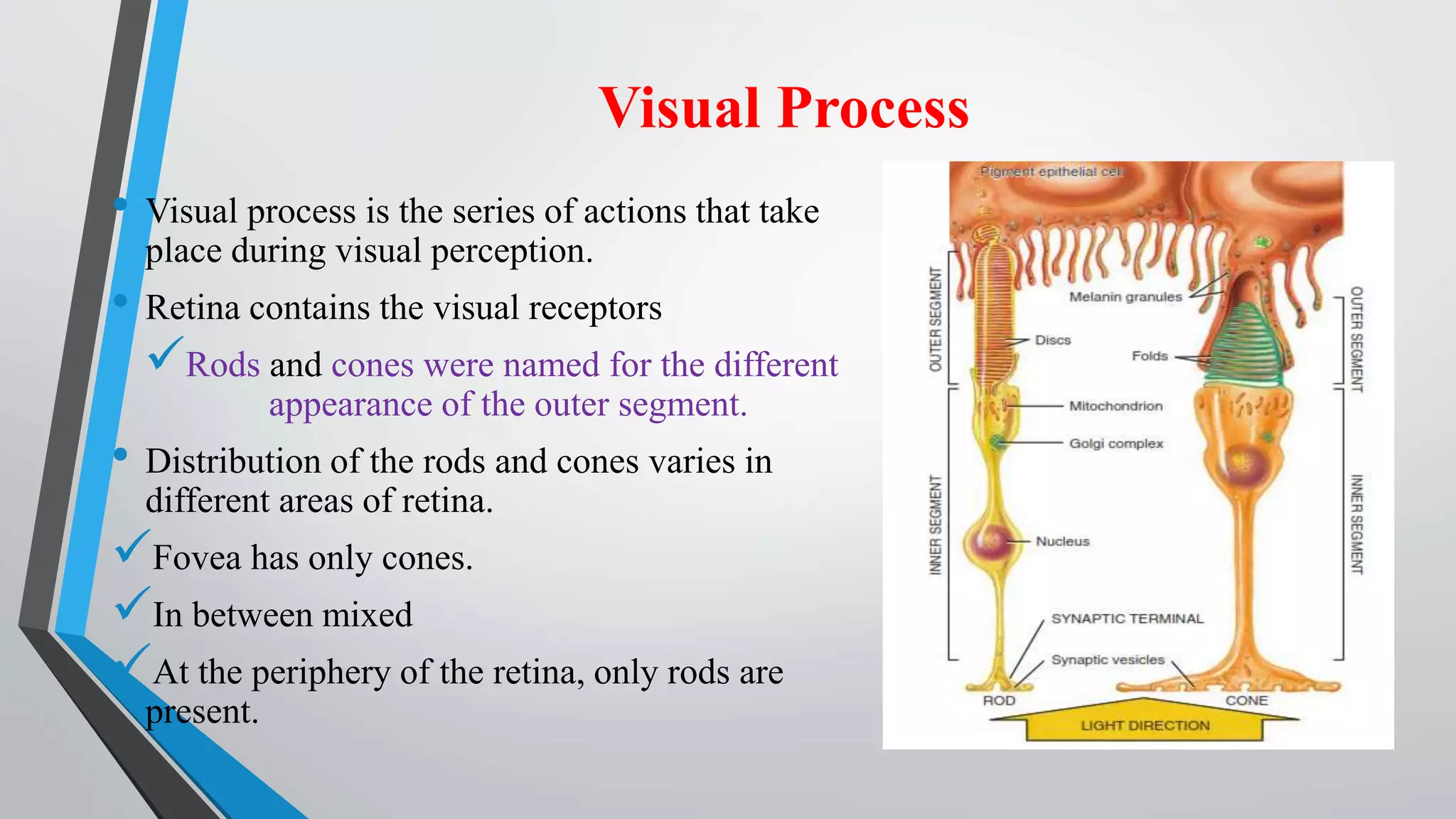 vision.pptx