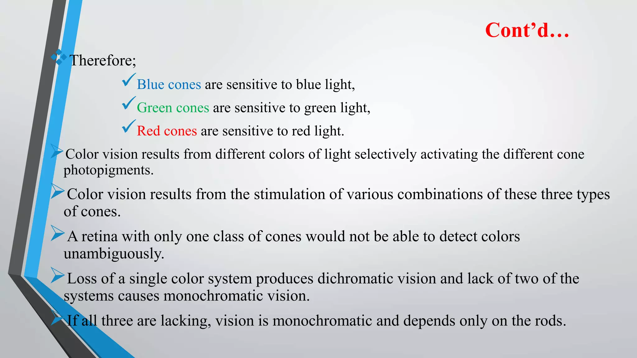 vision.pptx