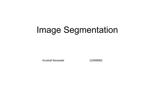 vision_image_segmentation.pptx