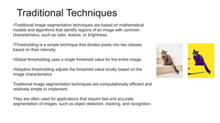 vision_image_segmentation.pptx