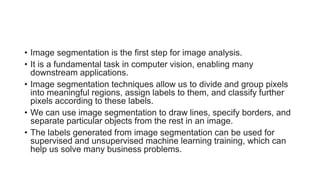 vision_image_segmentation.pptx