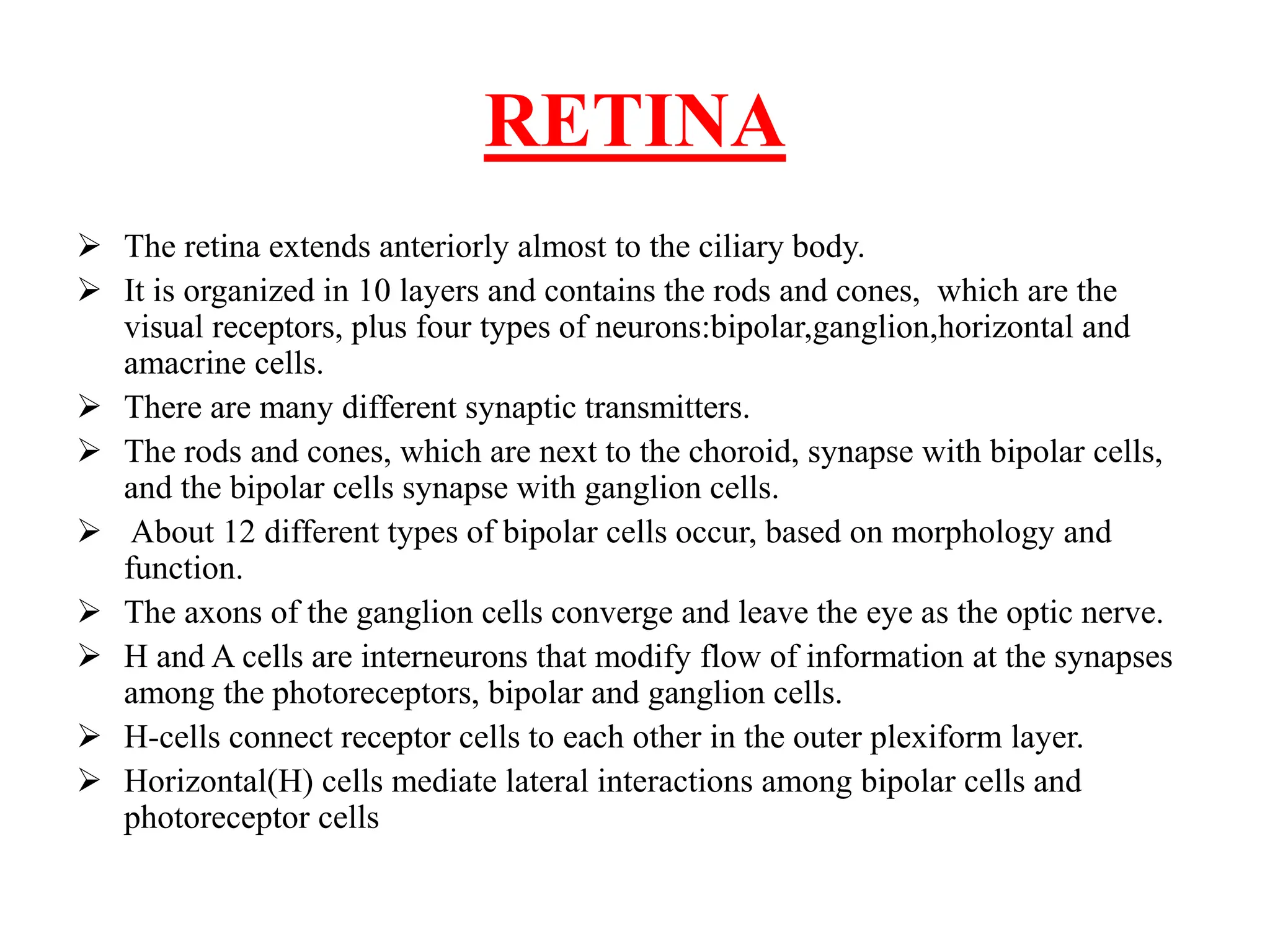 VISION IN ANIMALS VETERINARY PHYSIOLOGY.pdf
