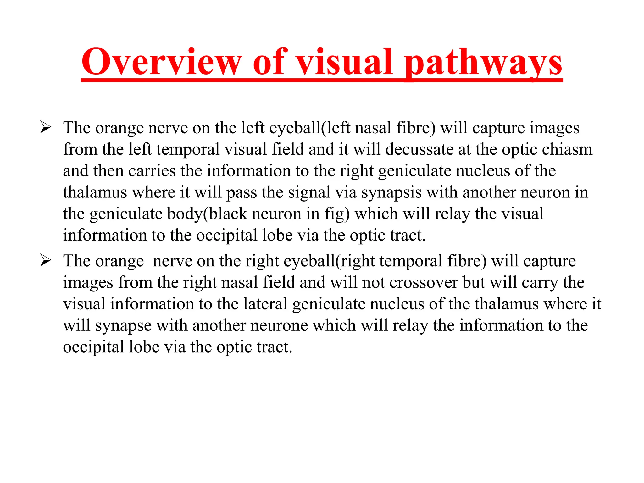 VISION IN ANIMALS VETERINARY PHYSIOLOGY.pdf