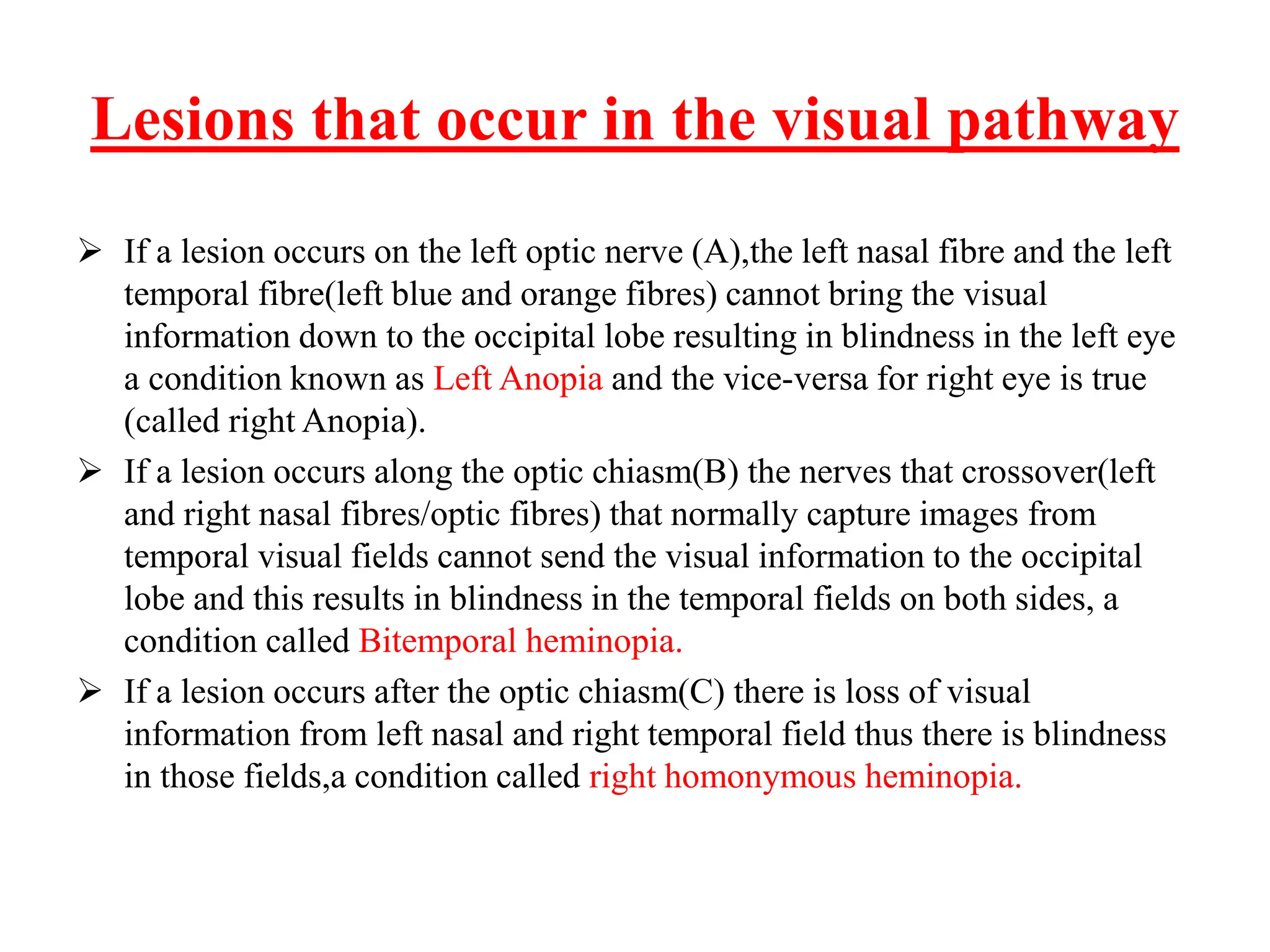 VISION IN ANIMALS VETERINARY PHYSIOLOGY.pdf